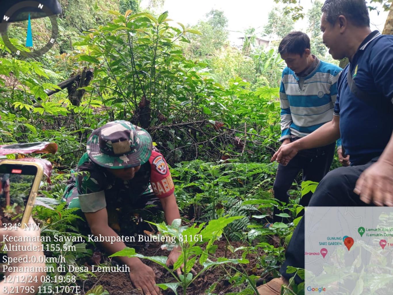 Penanaman Pohon - Website Desa Lemukih